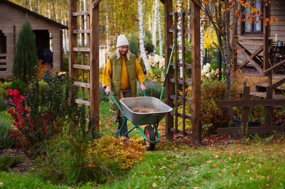 Fall garden essentials - how to choose and cultivate the best seasonal