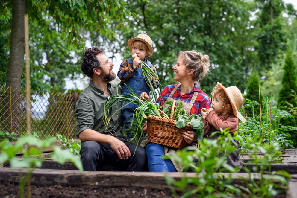 Growing your own food 101: how to cultivate a thriving vegetable and h
